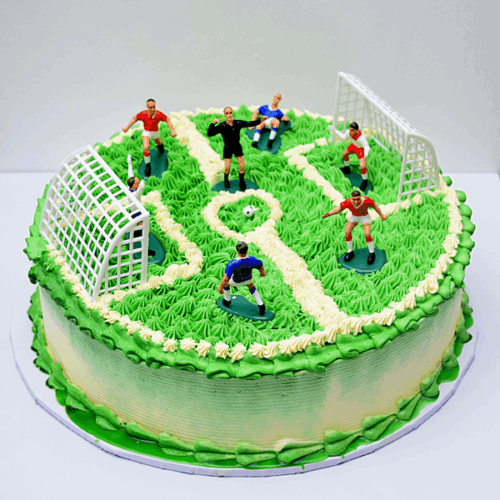 Soccer Field Celebration Cake - Diva Cakes